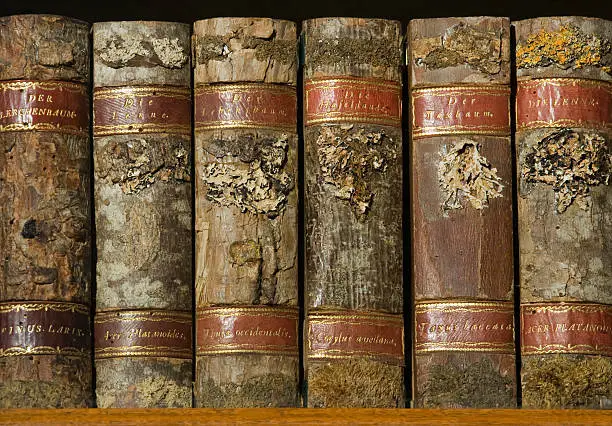 Rare and Valuable Books | Find Rare Books Online at the Best Price